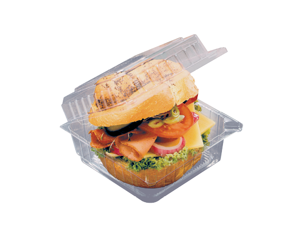 Clearview® Plastic Food Containers with Hinged Lid (Large Burger ...