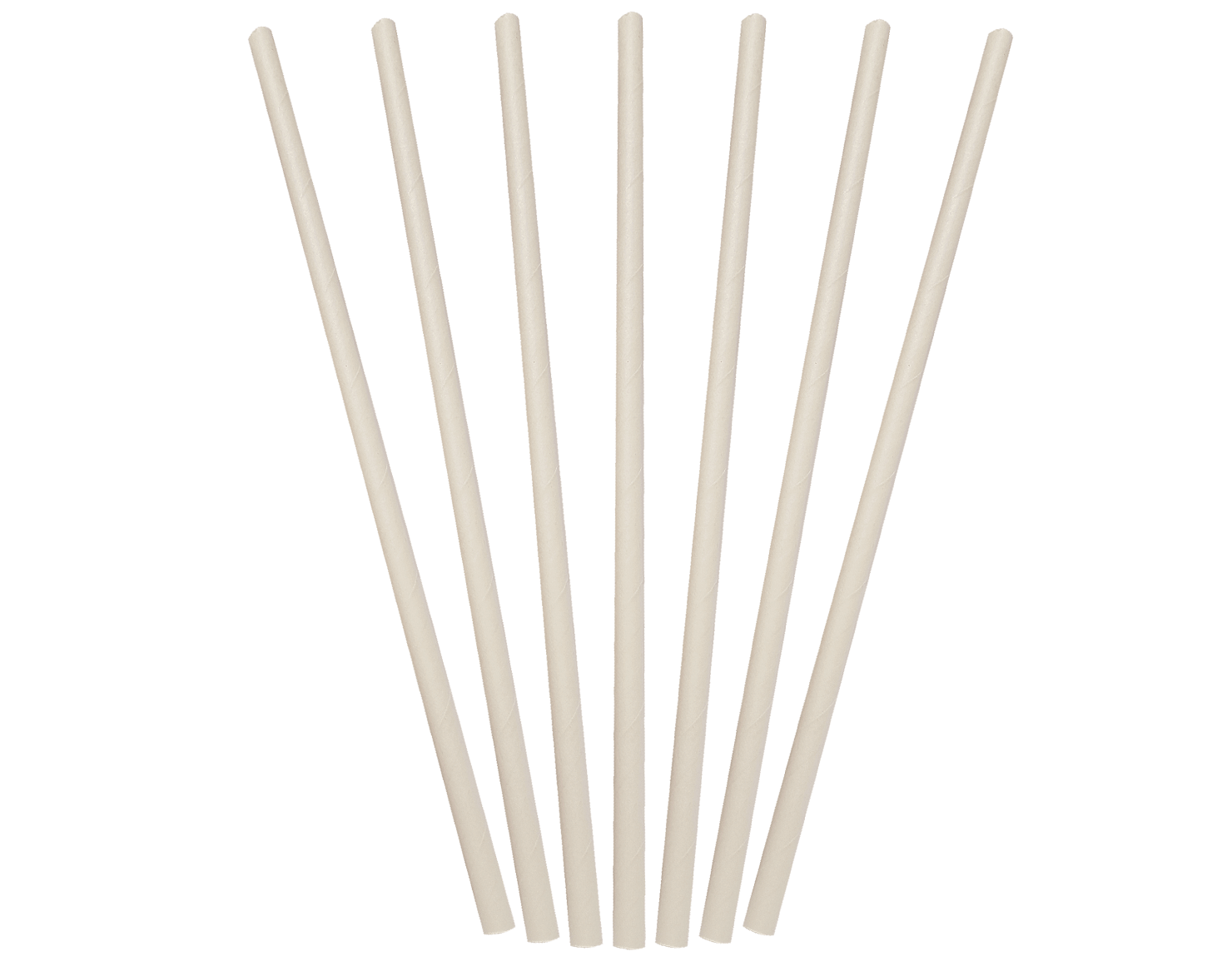 Regular Paper Straws | White - Castaway® Shop